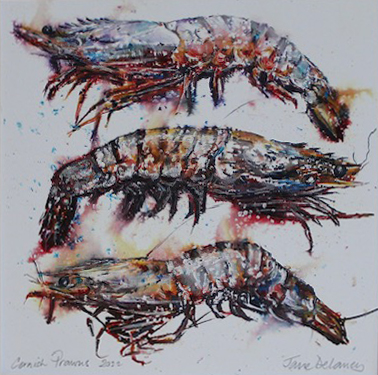 Jane Delaney – The Cornwall Watercolour Society