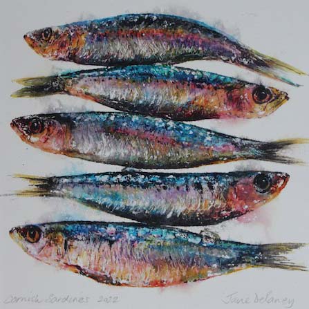 Jane Delaney – The Cornwall Watercolour Society